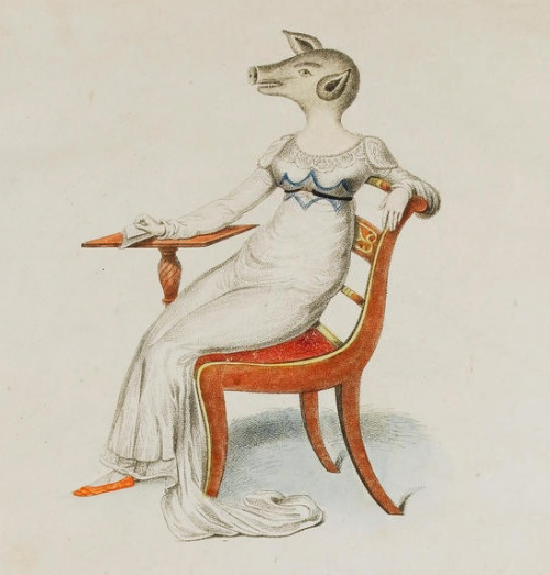 Pig-faced Lady Pictures – Myths and Legends
